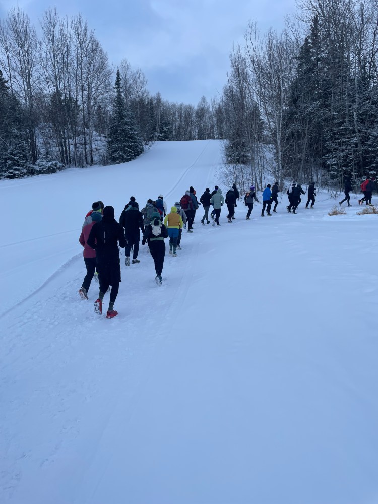Frozen Falcon – On the Edge Running